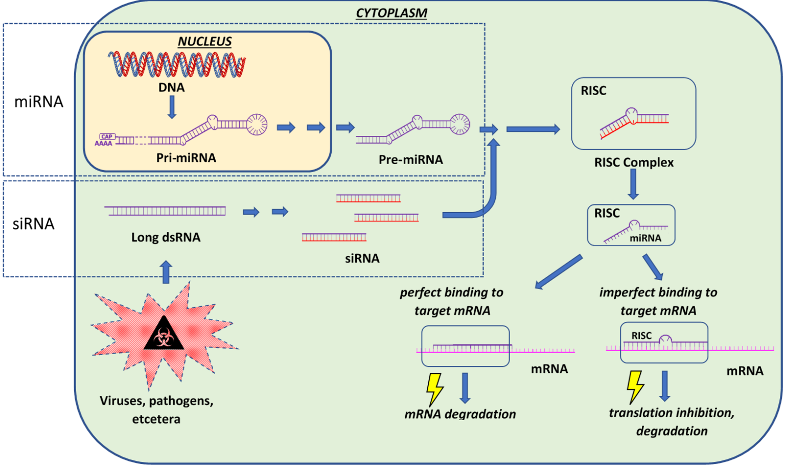 IUPAC CropChem News - IUPAC | International Union of Pure and Applied ...