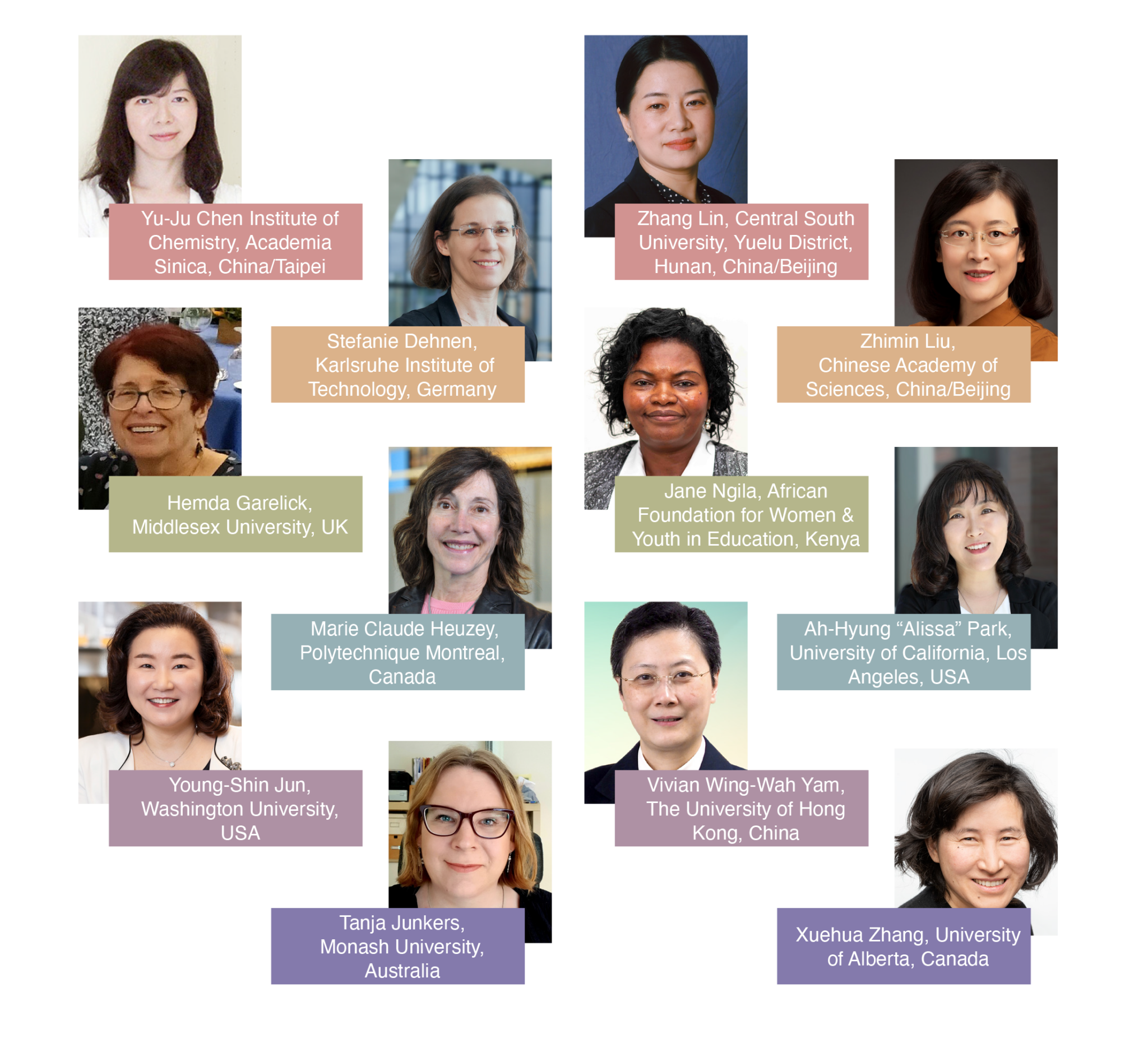 Awardees of the IUPAC 2025 Distinguished Women in Chemistry or Chemical ...